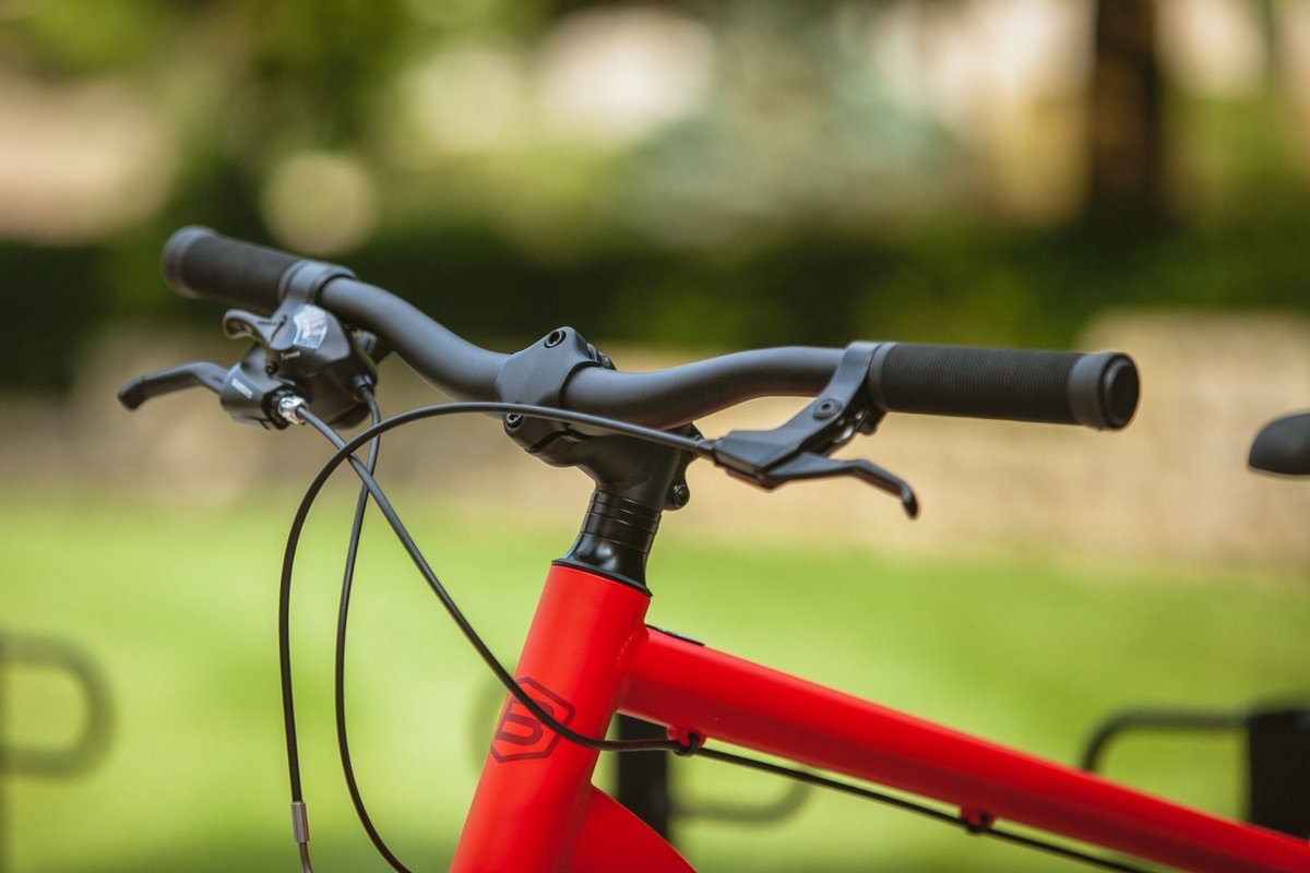 2021 Batch Bicycles - Bicycle Details - BicycleBlueBook.com
