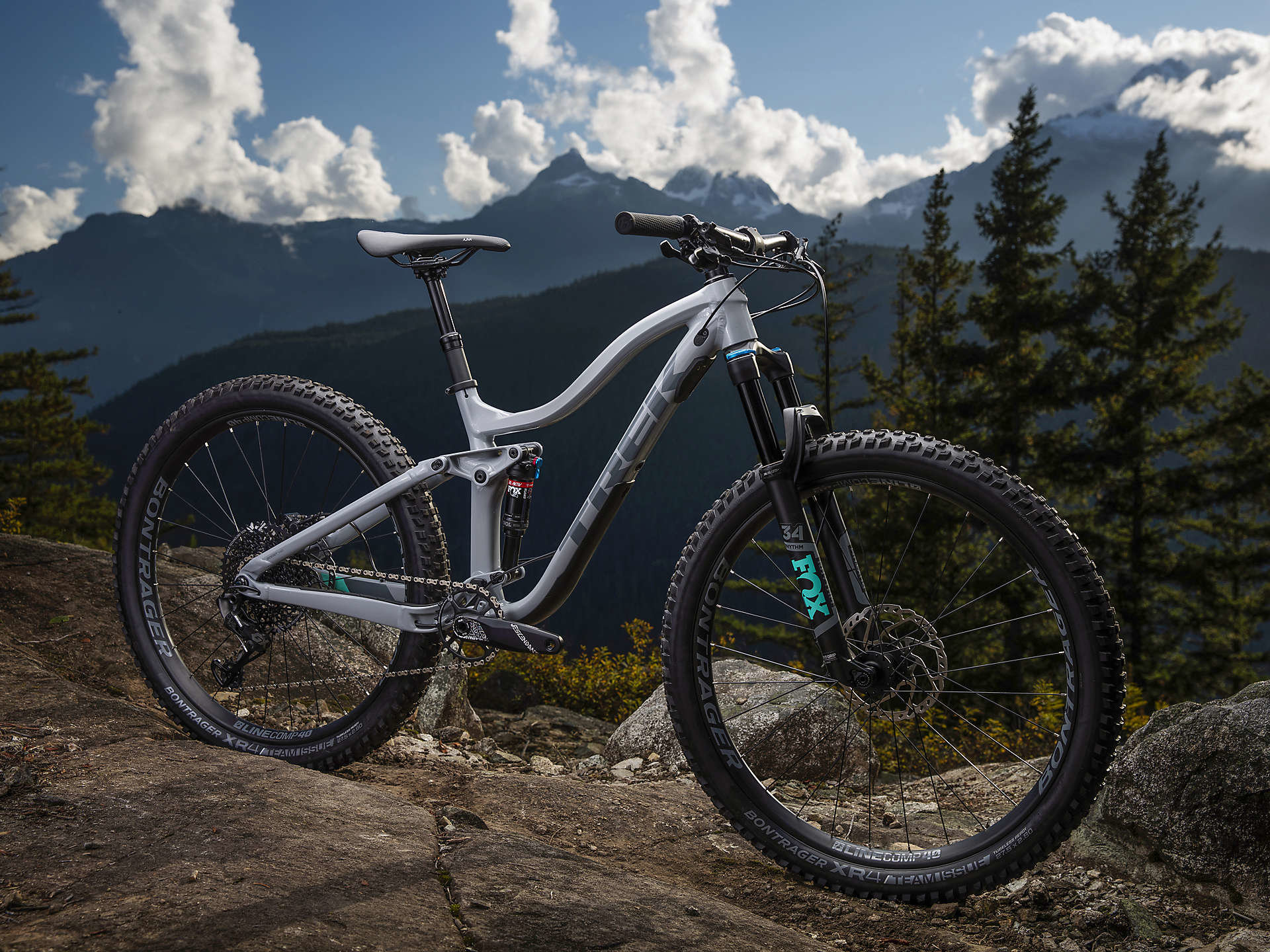 2019 Trek Fuel EX 8 - Bicycle Details - BicycleBlueBook.com