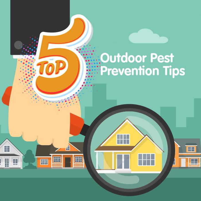 Outdoor Pest Prevention Tips