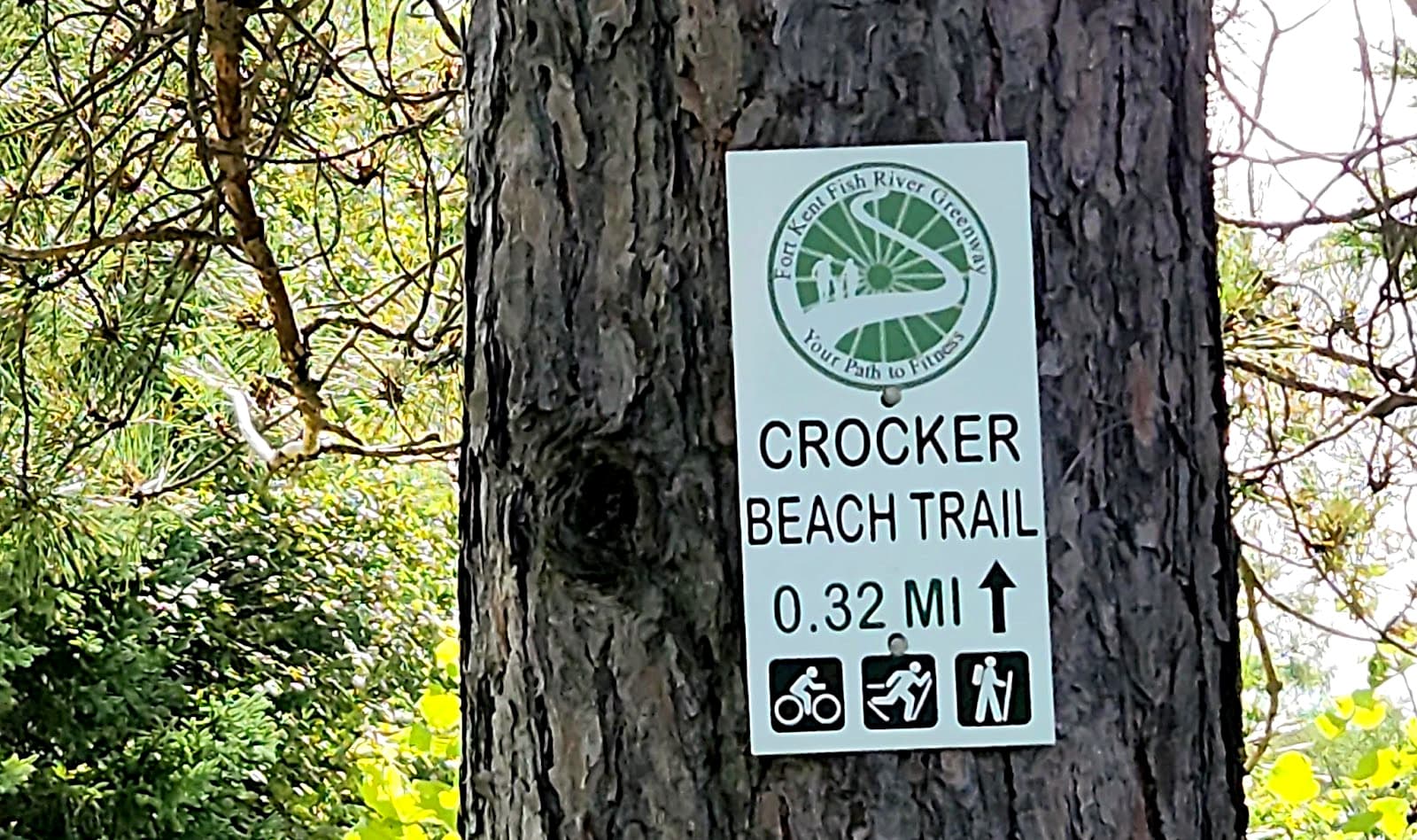 Enock's Adventures: The County Wrap Up