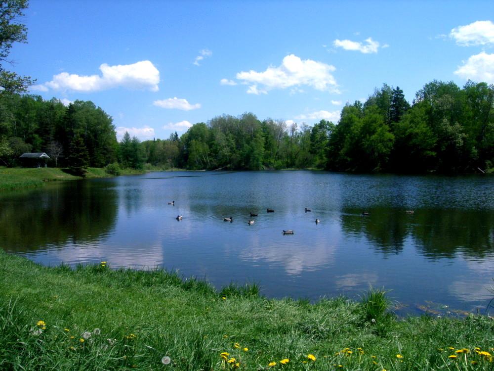 Enock's Adventures: Mantle Lake Park