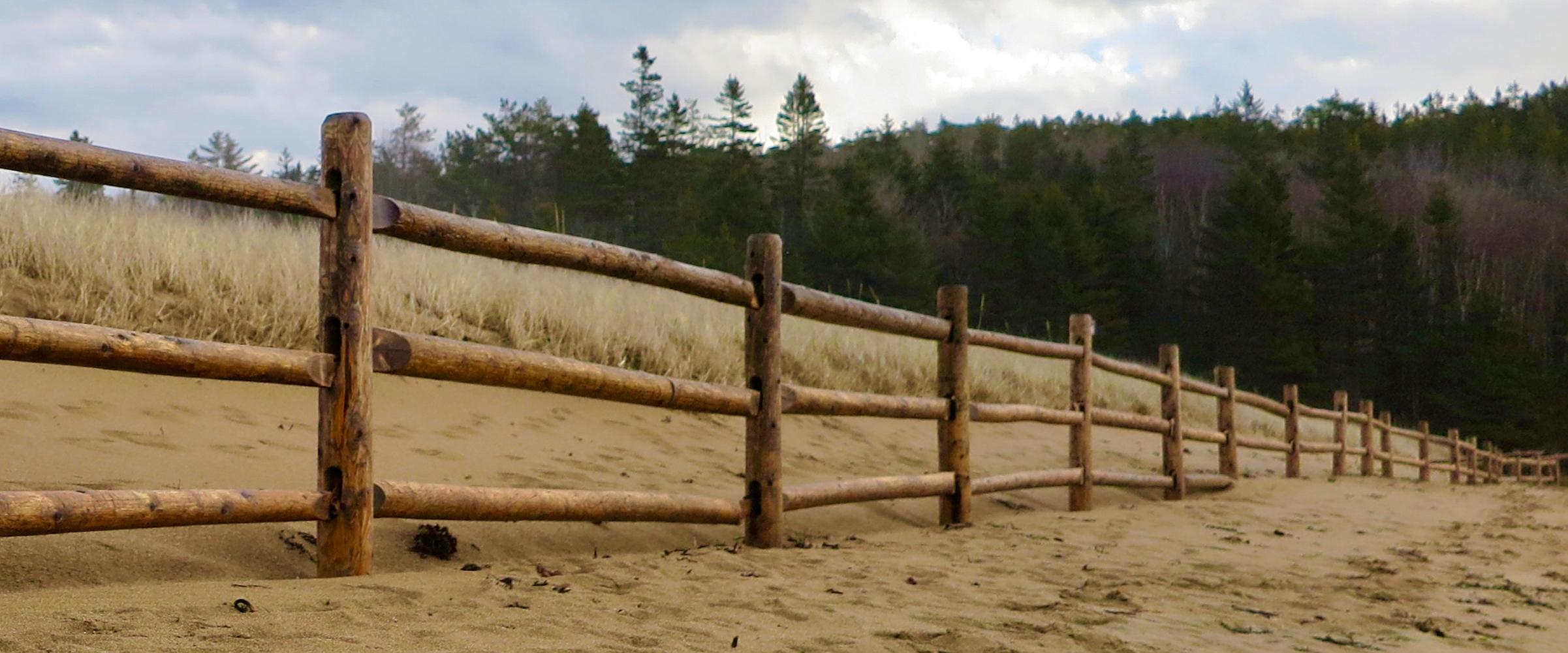 Trail Surface