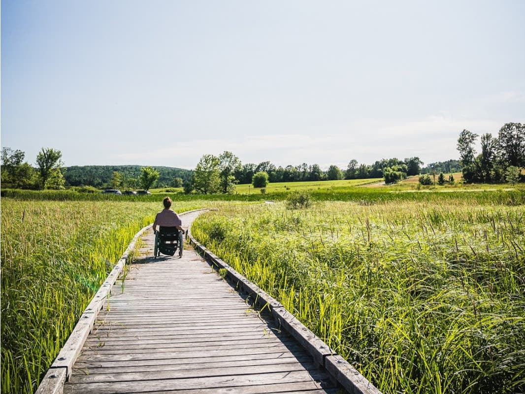 Exploring Raven Ridge: A Short, Peaceful Trail with Big Beauty