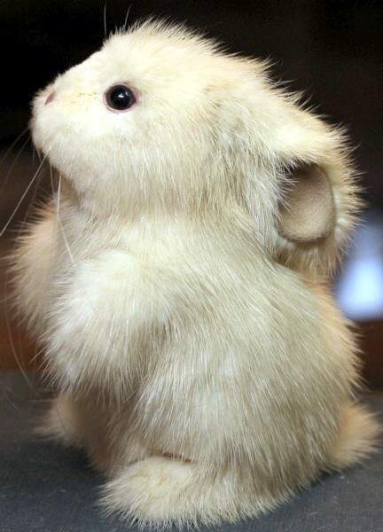 Mink Bunny Rabbit 495.00 by Kimbearlys - Bear Pile