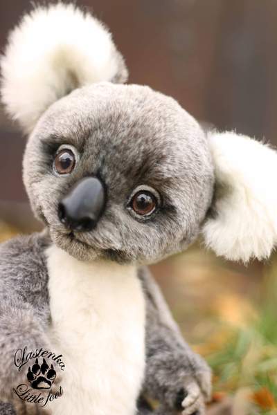 Koala Sydney by Evgeniya and Igor Krasnov - Bear Pile