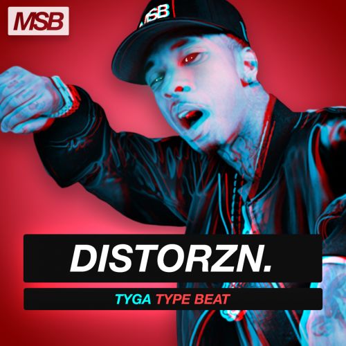 DISTORZN. by MATTHEW STEVEN BEATS