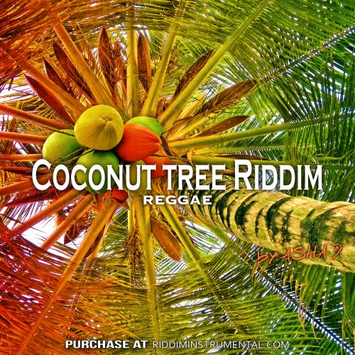 Reggae - Coconut tree riddim - Ri by Asha D by Riddim Instrumental by ...
