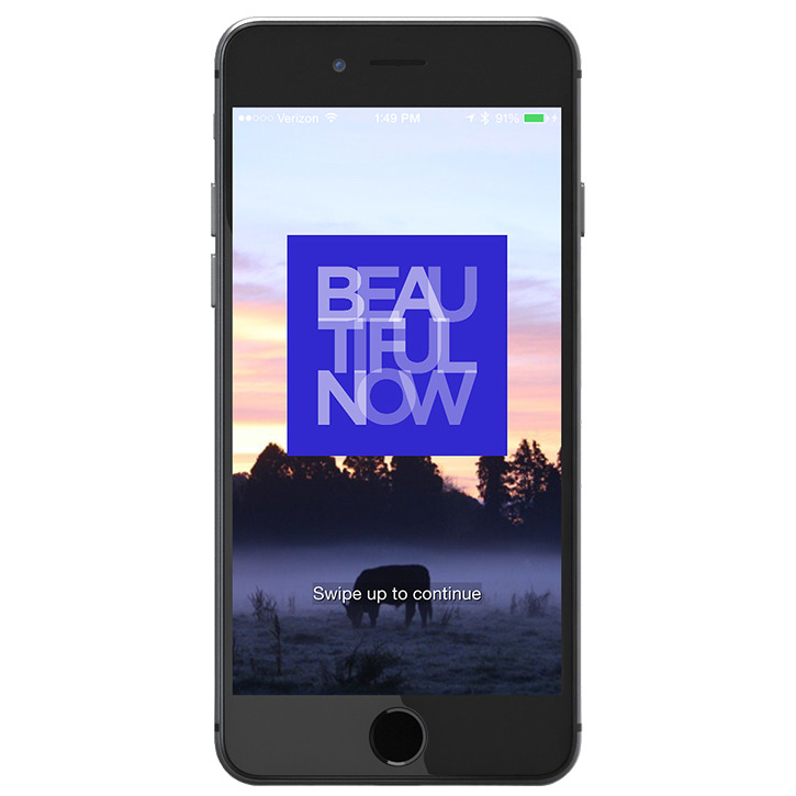 Love & Eat the Forest Now! | BeautifulNow