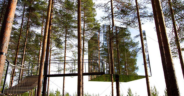 Escape Beautifully! 10 Beautiful Cabin Designs to Entice You Now ...