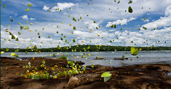 See The Most Beautiful Nature Science Photos of 2015 Now! | BeautifulNow