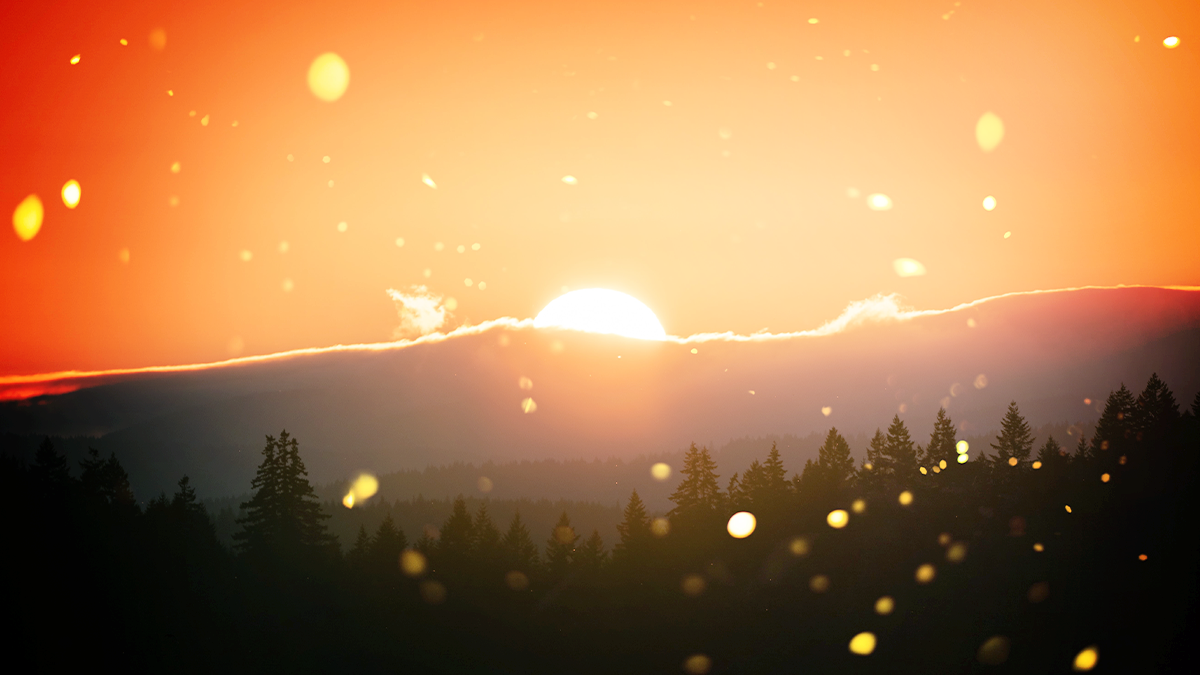 Shameless Audacity – Bell Avenue Church of Christ