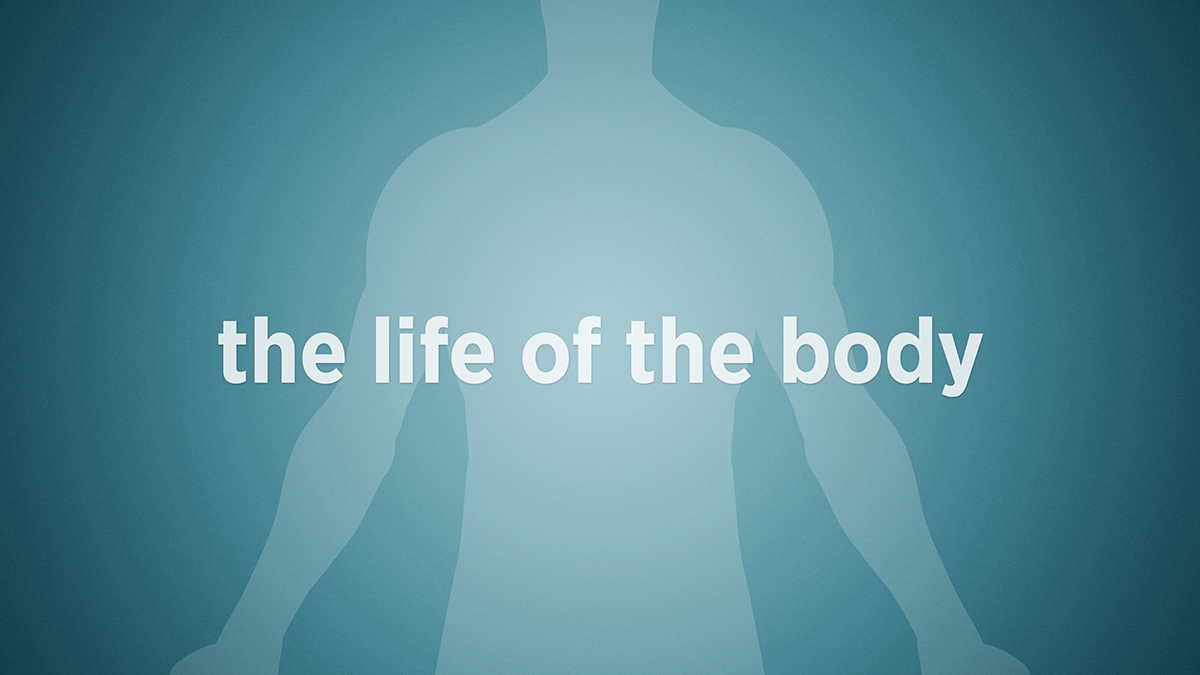 The Life of the Body – Bell Avenue Church of Christ