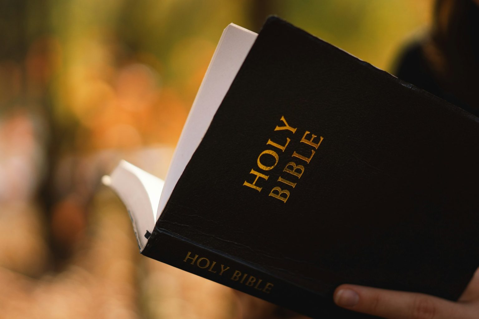 Christian teen girl holds bible in her hands. Reading the Holy Bible ...