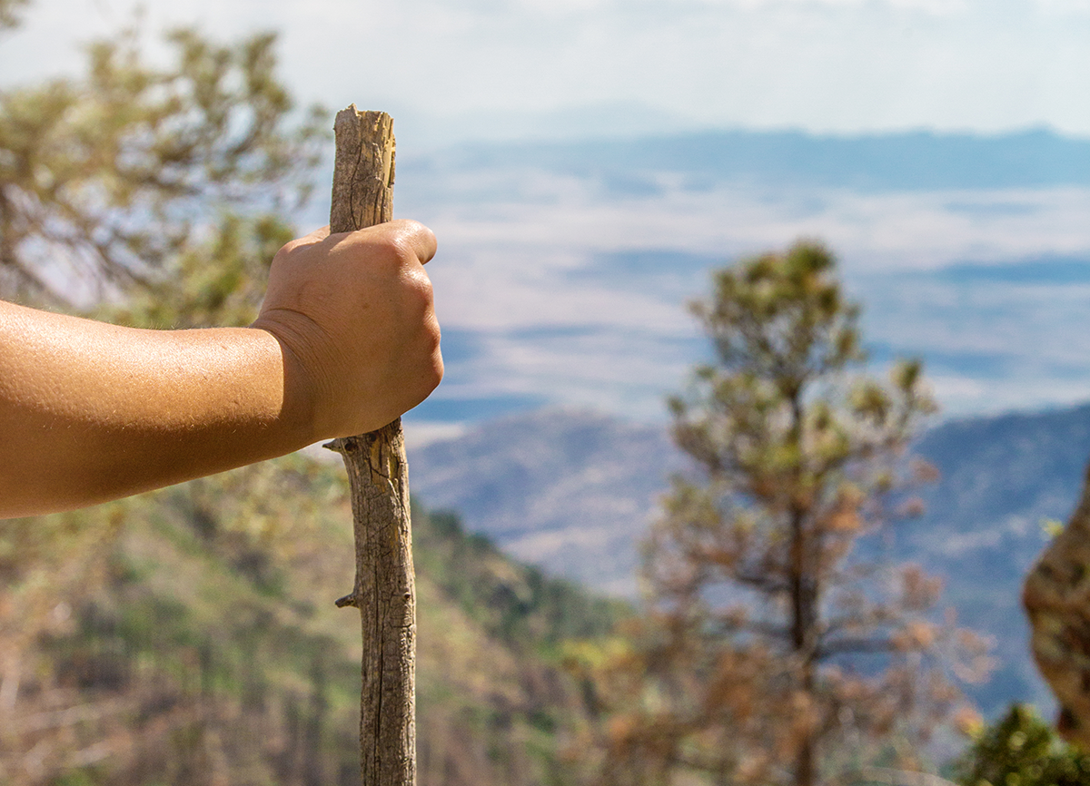 The Walking Stick – Beltline Church of Christ