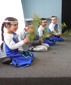 Los Mapuche: A Native Culture Struggling for Survival in Chile