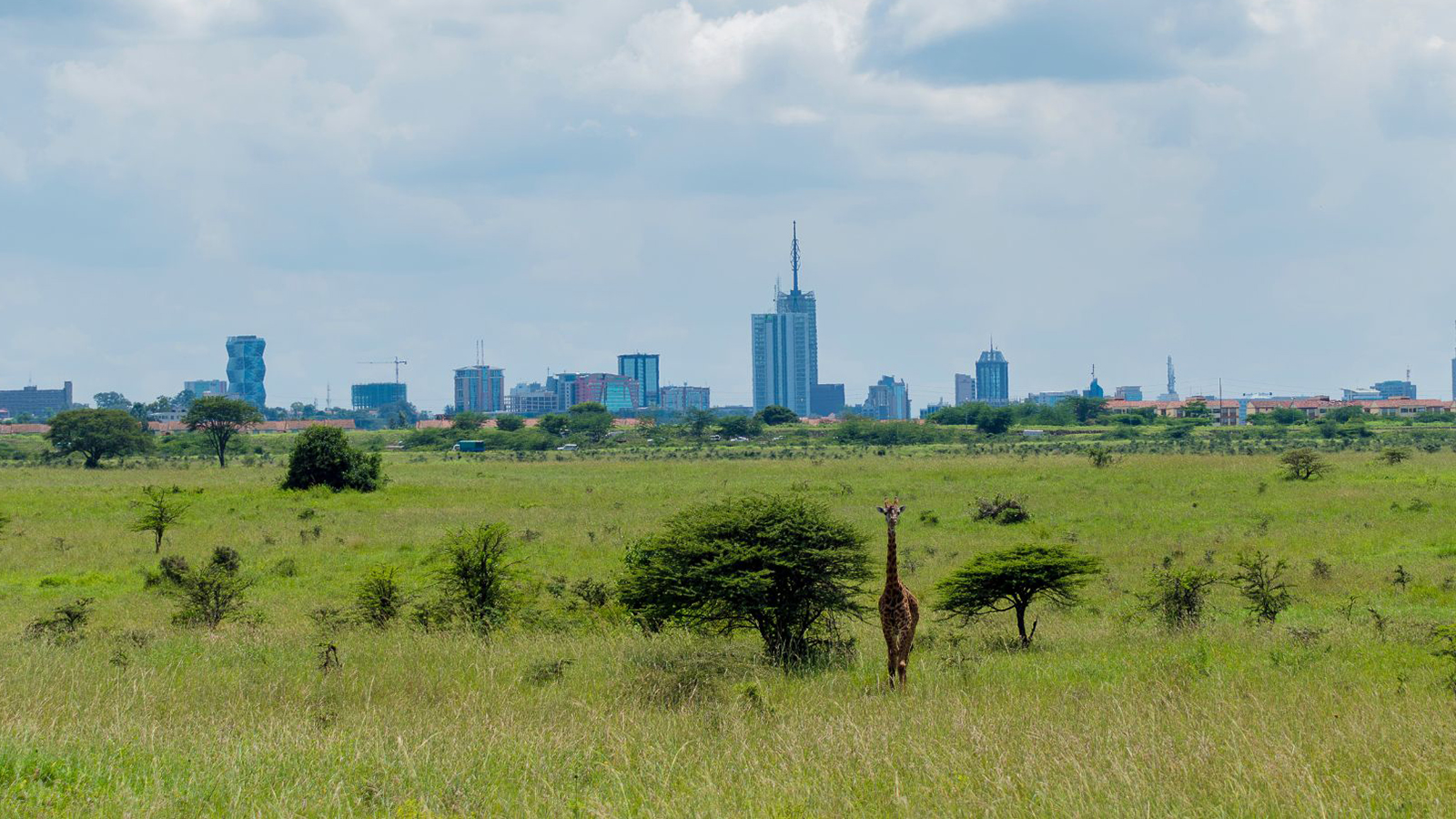Berkley Center Webinar on Refugees in Kenya Featured in New Outlook