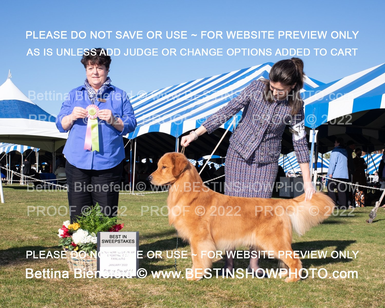 Show Picture Galleries - Best In Show Photo