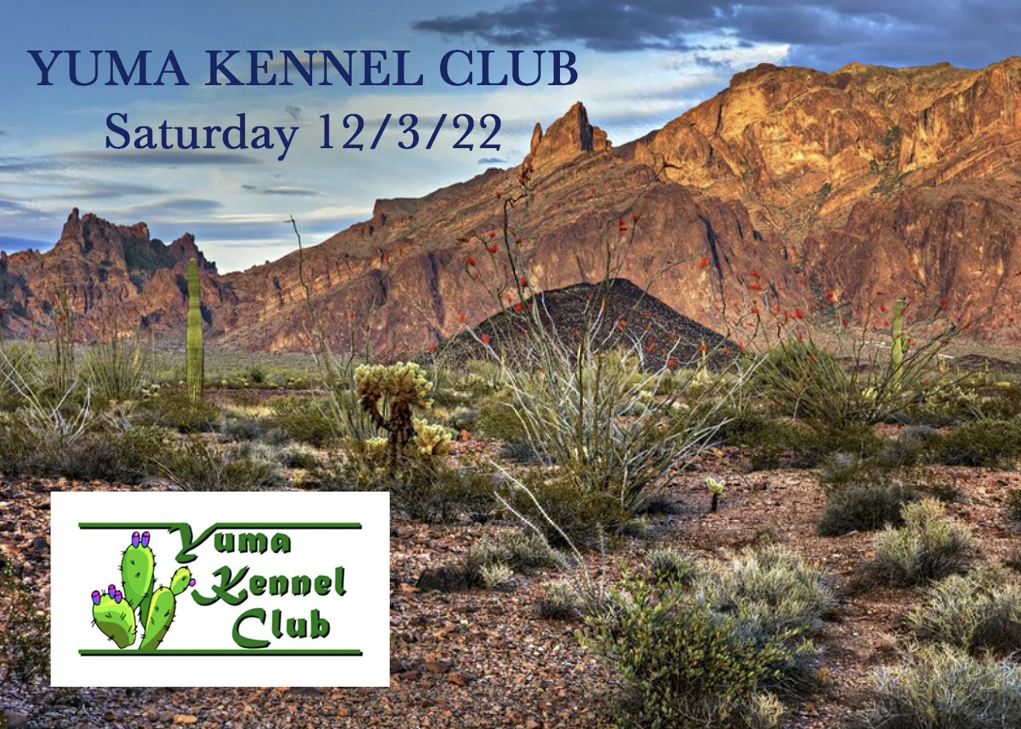 Yuma KC ~ Saturday 12/3/22 - Show Picture Galleries - Best In Show Photo