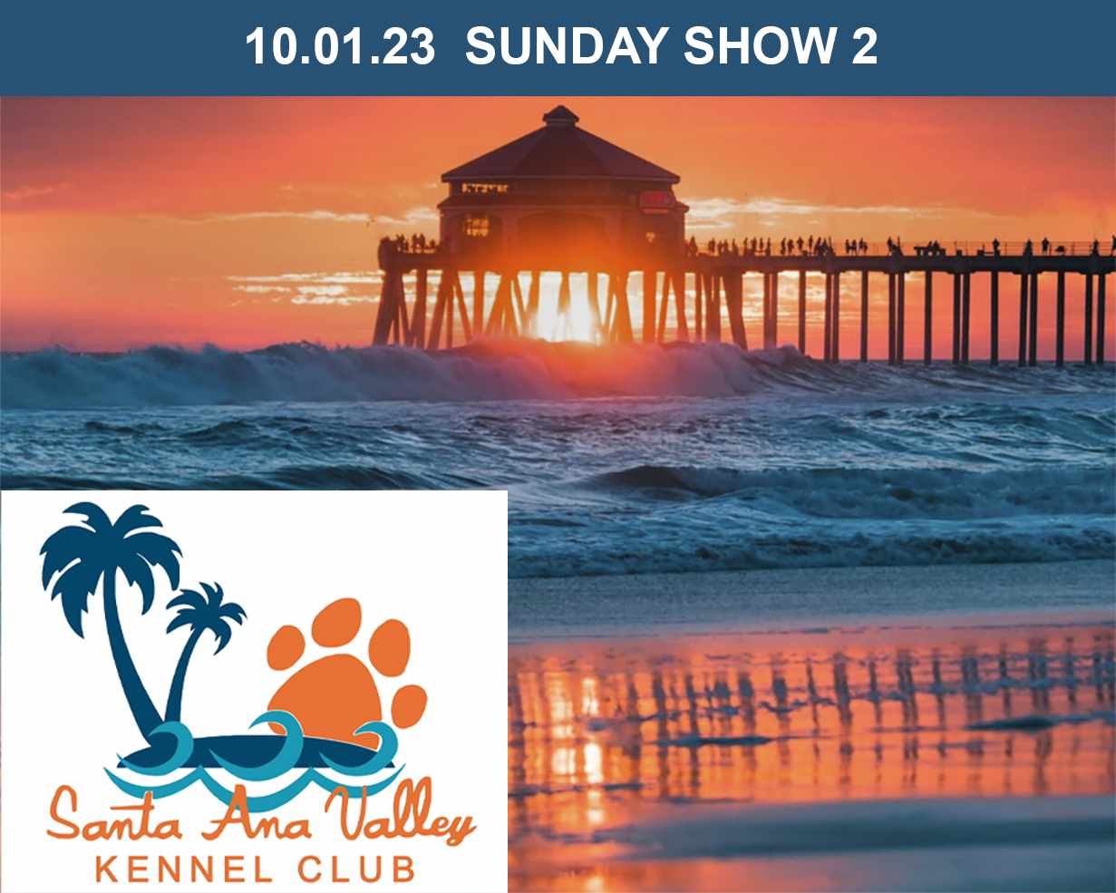 Santa Ana Valley KC ~ Sunday 10.01.23 - Show Picture Galleries - Best ...