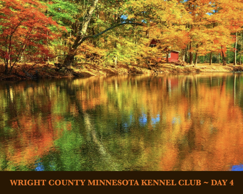 WRIGHT COUNTY MINNESOTA KC ~ SUNDAY 10.8.23 - Show Picture Galleries - Best In Show Photo