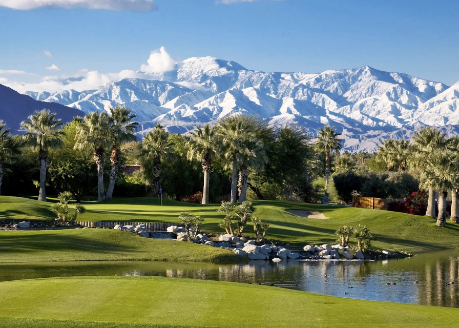 KC OF PALM SPRINGS ~ SATURDAY 01.06.24 - CONFORMATION - Show Picture ...