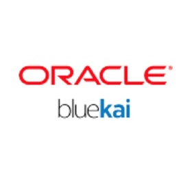 Saiba tudo sobre o Oracle Bluekai
