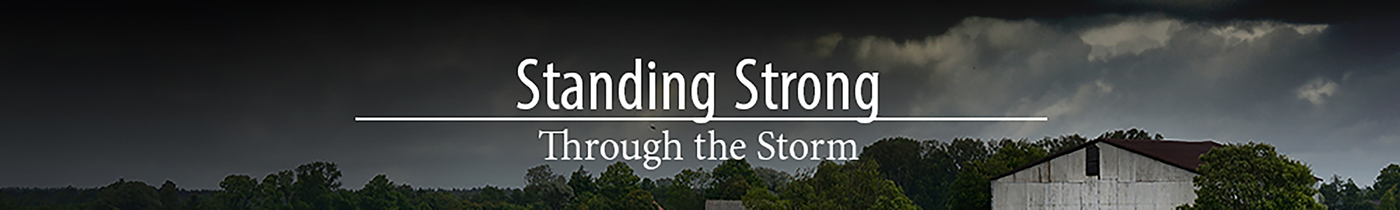 Standing Strong Through the Storm of Persecution - Bible Gateway Blog