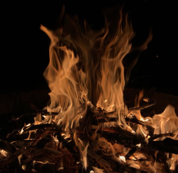 Emily Kester - Biopage