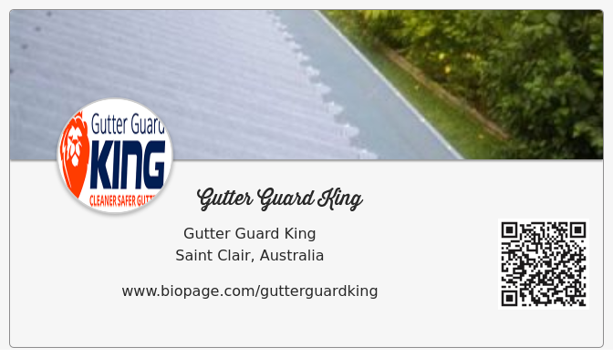 Gutter Guard King - Biopage