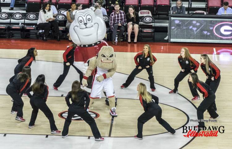 Bulldawg Illustrated