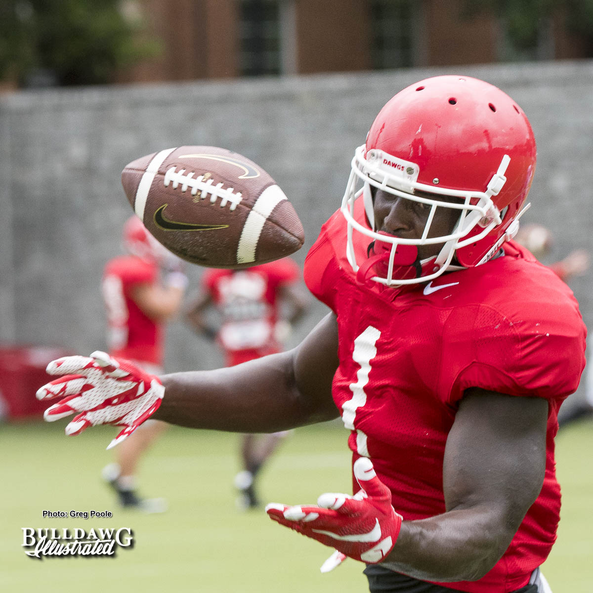 Bulldawg Illustrated | Bulldawg Illustrated is a celebration of Georgia ...