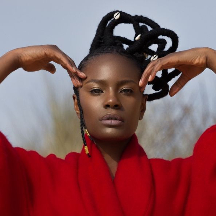Shingai Concert Tickets: 2023 Live Tour Dates | Bandsintown