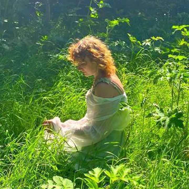 rainbow frog biscuits Concerts & Live Tour Dates: 2024-2025 Tickets ...