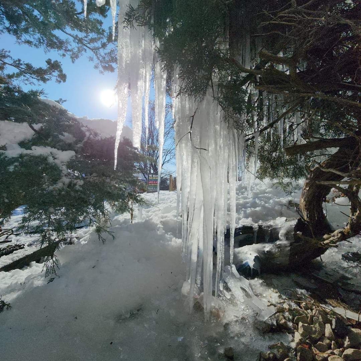 Confucisaurus Minneapolis Tickets, Day Block Brewing Company 20 de ...