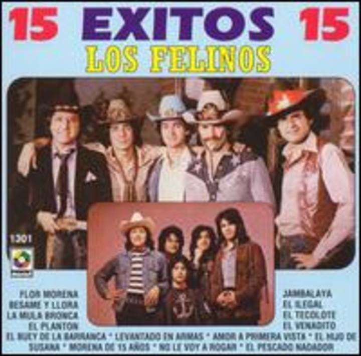 Los Felinos Concert Tickets: 2023 Live Tour Dates | Bandsintown