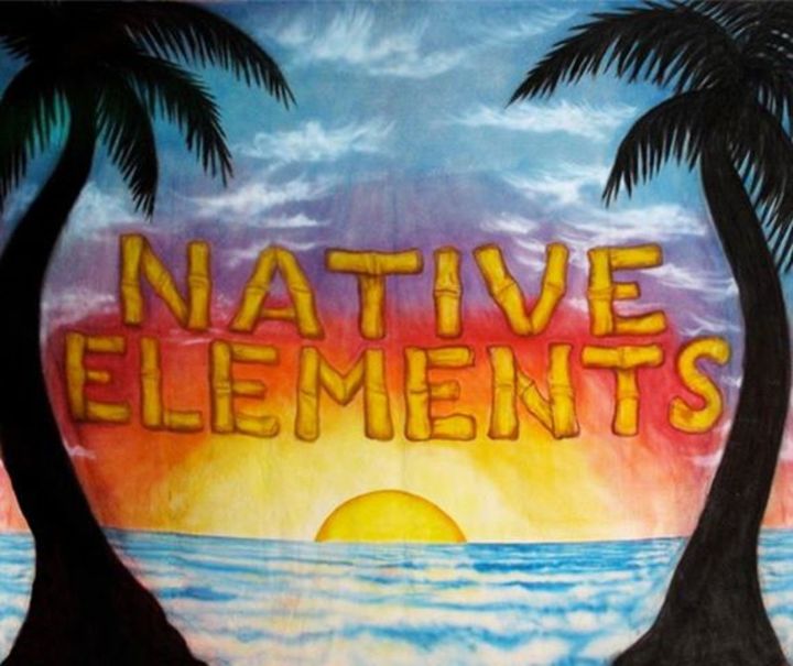 Native Elements Concerts & Live Tour Dates: 2024-2025 Tickets | Bandsintown