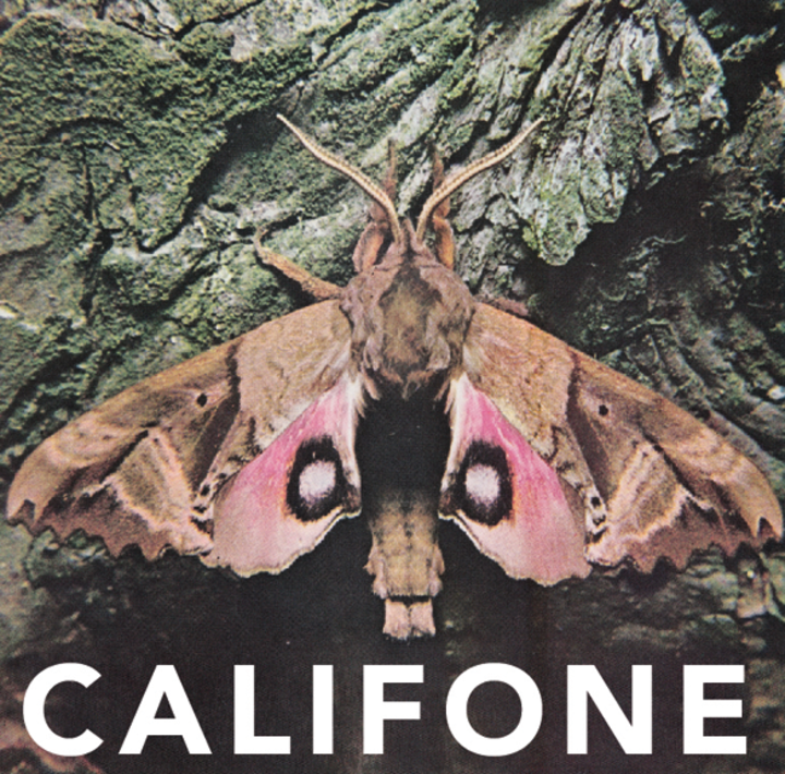 Califone Tickets, 2022 Concert Tour Dates & Details | Bandsintown