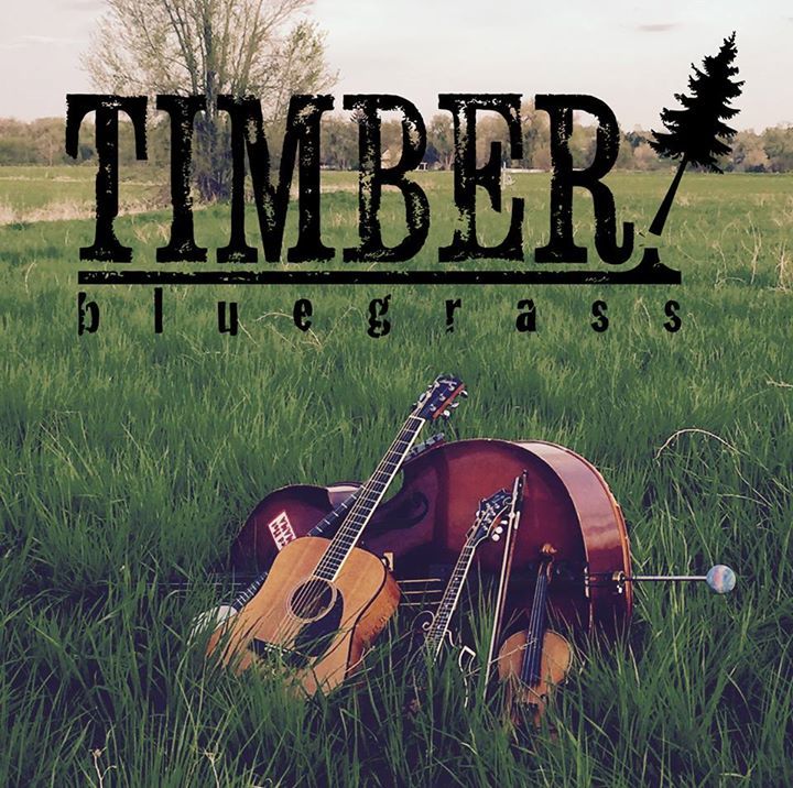 Timber Album Cover