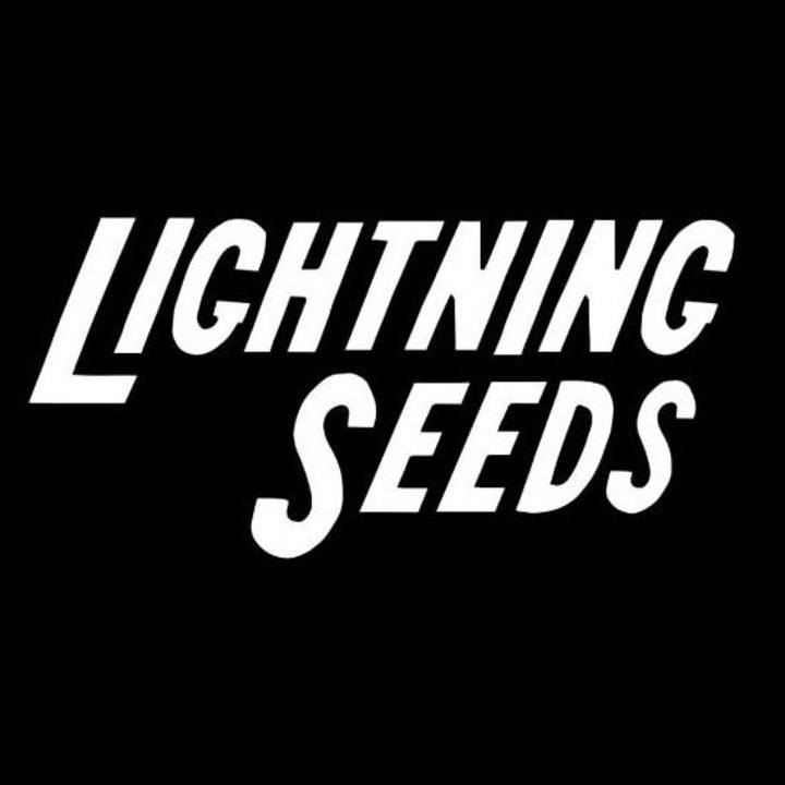 Ian Broudie and the Lightning Seeds Concert Tickets: 2023 Live Tour ...