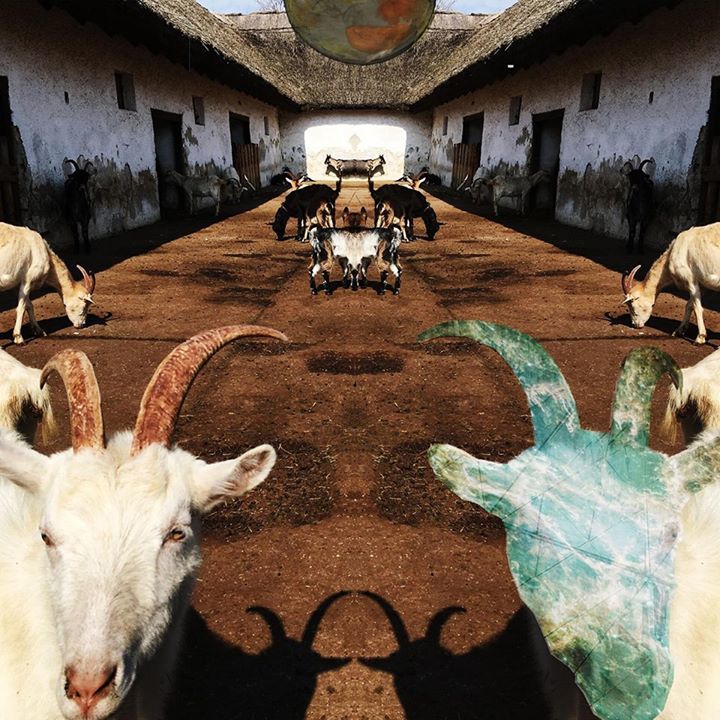 The Punch Concerts & Live Tour Dates: 2023-2024 Tickets | Bandsintown