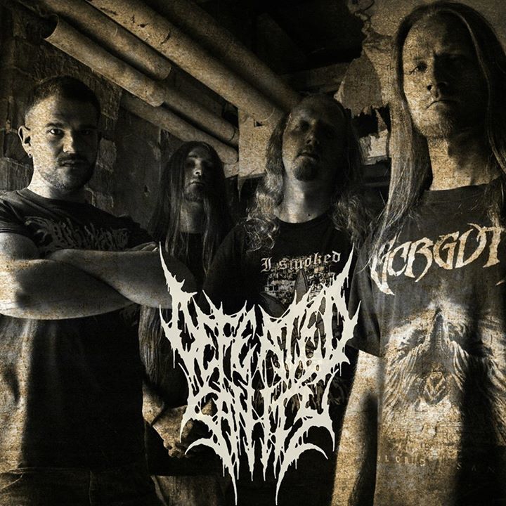 Defeated Sanity Concerts & Live Tour Dates: 2024-2025 Tickets | Bandsintown