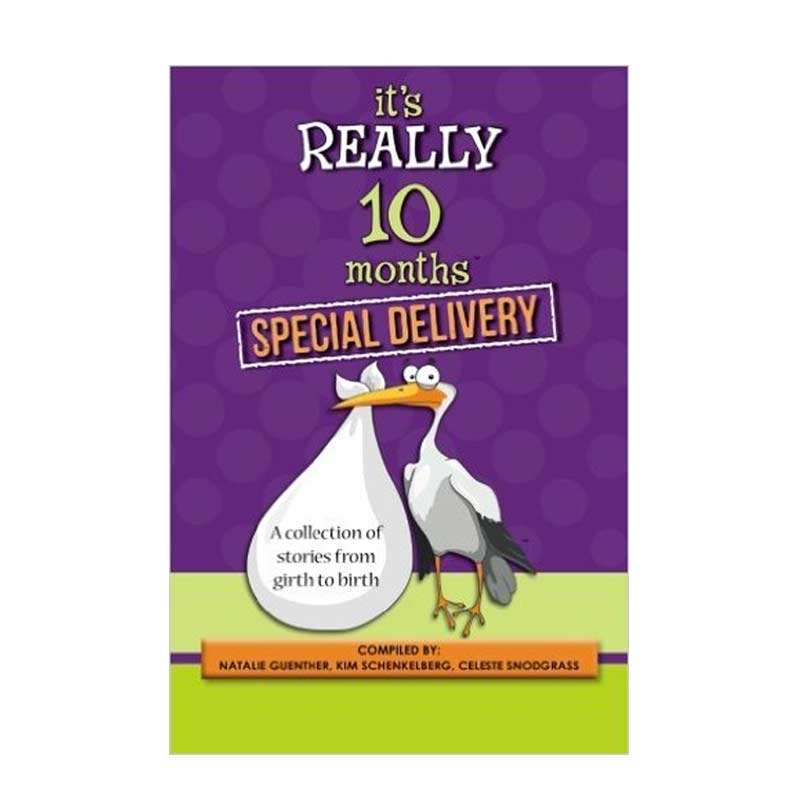 Anamcara Books LLC It's Really 10 Months Special Delivery Book | Bitsy ...