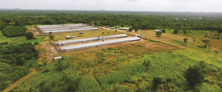 CRYSBRO gears up for a sustainable future with a series of eco-friendly ...