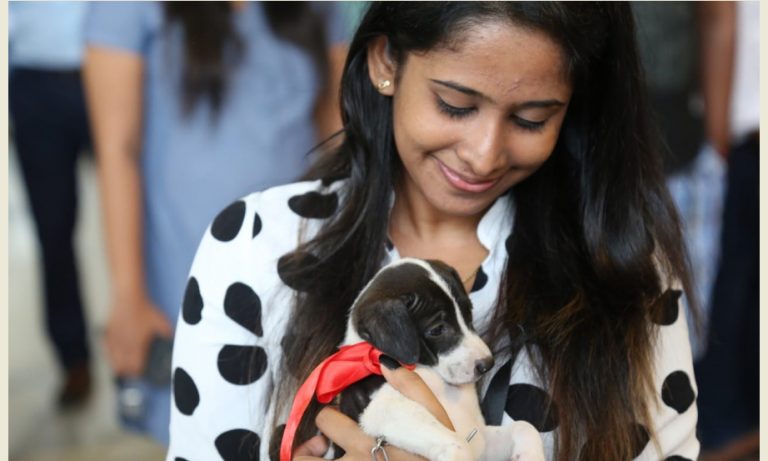 Embark cares for over 10,000 street dogs in 2018 - Adaderana Biz ...