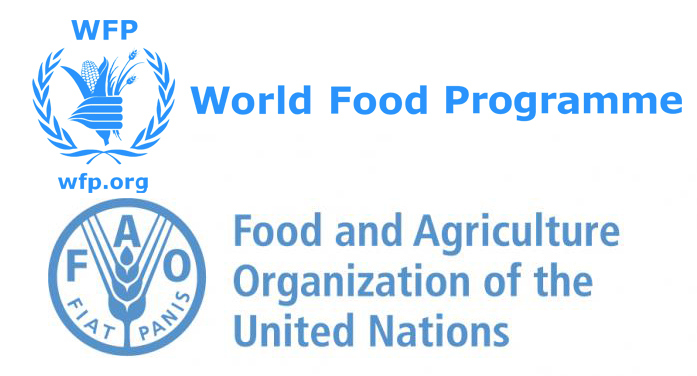 FAO and WFP Call for Urgent Action to Strengthen Food Systems Amidst ...