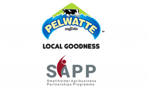 Pelwatte Empowers the local dairy farming community through training ...