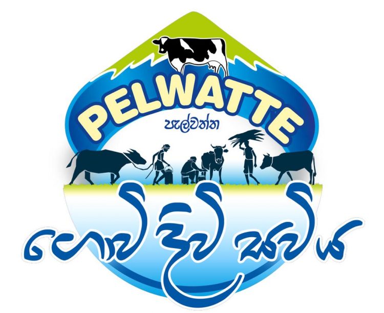 Pelwatte leads by example: Commences SAPP grants program for farmers ...
