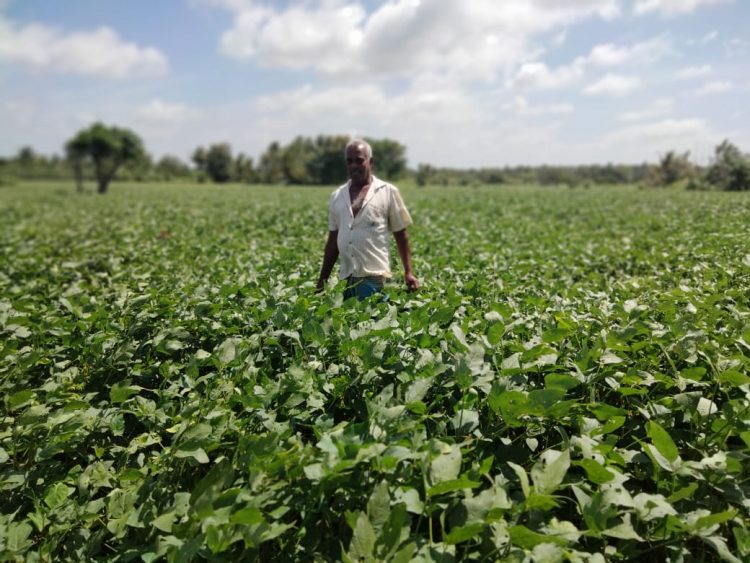 Raigam Wayama Salterns Records Highest Growth and New Dimensions in ...