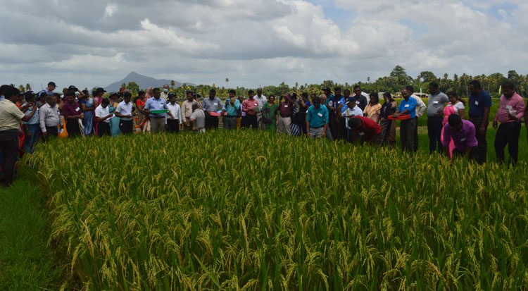 FAO Launches Training of 300 Agriculture Extension Officers Under EU ...