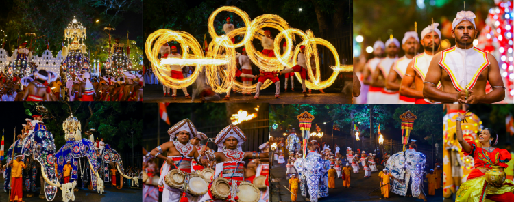 Highlights of the Vibrant Kandy Esala Perahera - Adaderana Biz English ...